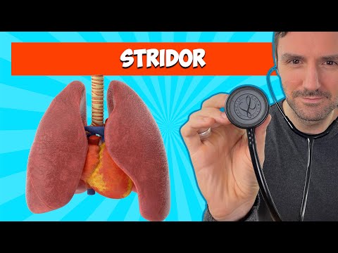 Stridor: Lung Sounds For Beginners 🔥🔥🔥 #lungsounds