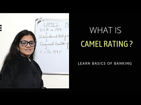 What is CAMEL Model?| Banking awareness