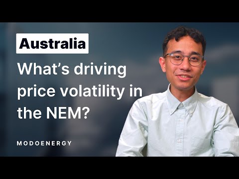 What drives price volatility in the NEM?