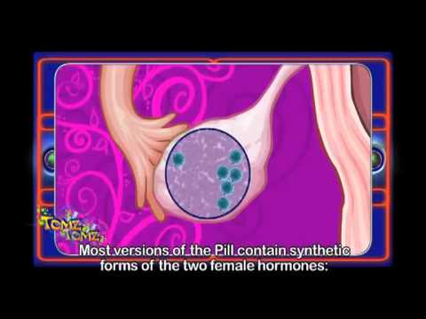TOMz S3 E18 - How the pill works