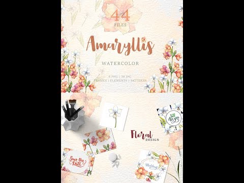 Amaryllis flowers Watercolor png
