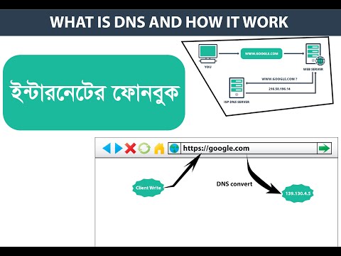 What is DNS(Domain Name System)? How it works? Server Tutorial in Bangla