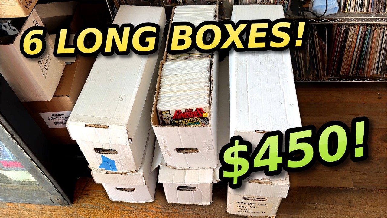 I Went Hunting for COMIC BOOKS and Found a 6 Long Box Wholesale Lot for $450!