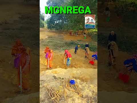 Mg Nrega Minimum wages ||मनरेगा में न्यूनतम मजदूरी, #mnrega #short #viralvideo