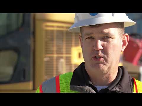 A Year of Cones | Nathan Vickers