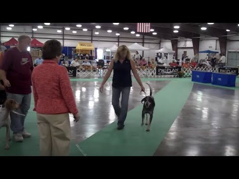 2010 UKC Autumn Oaks