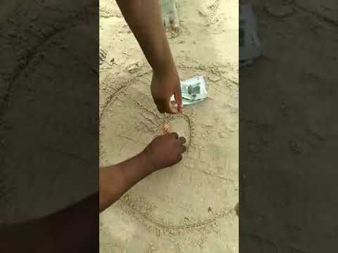 the harder they come (SOJA CRAB)race