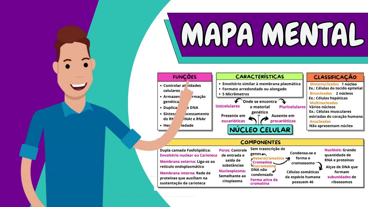 MAPA MENTAL - NÚCLEO CELULAR