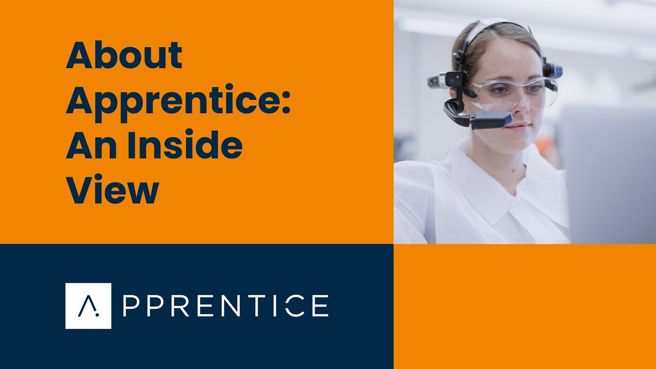 About Apprentice: An Inside View