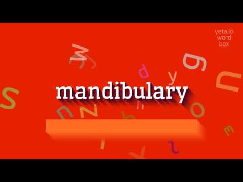 MANDIBULARY - How to pronounce Mandibulary?