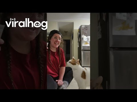 Cat Sitter Discovers Adorable Sound Kitty Makes While Eating Lickable Treats || ViralHog