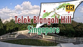 3 Best Public Parks in Bukit Merah, Singapore - Expert Recommendations