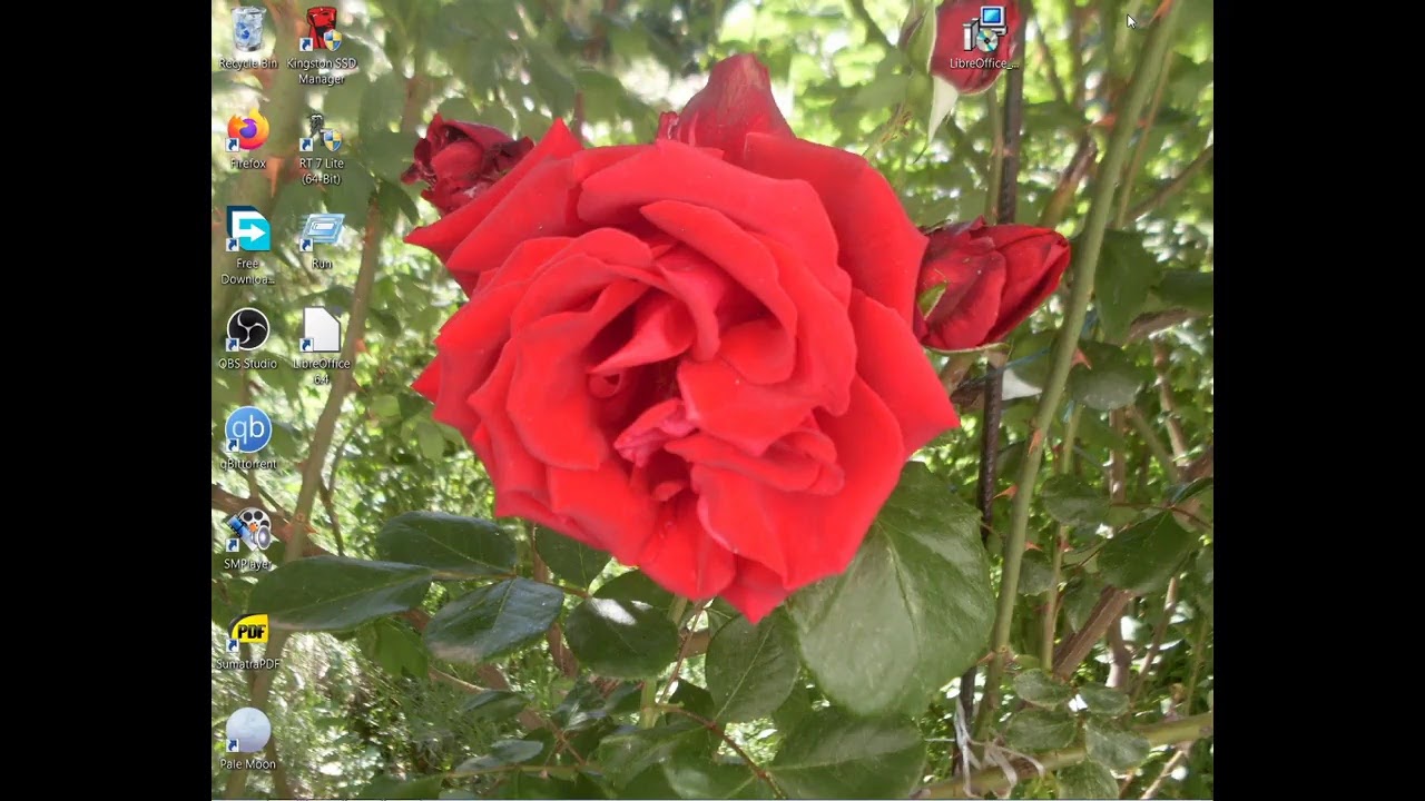 How to install easy Libre Office Portable Apps version