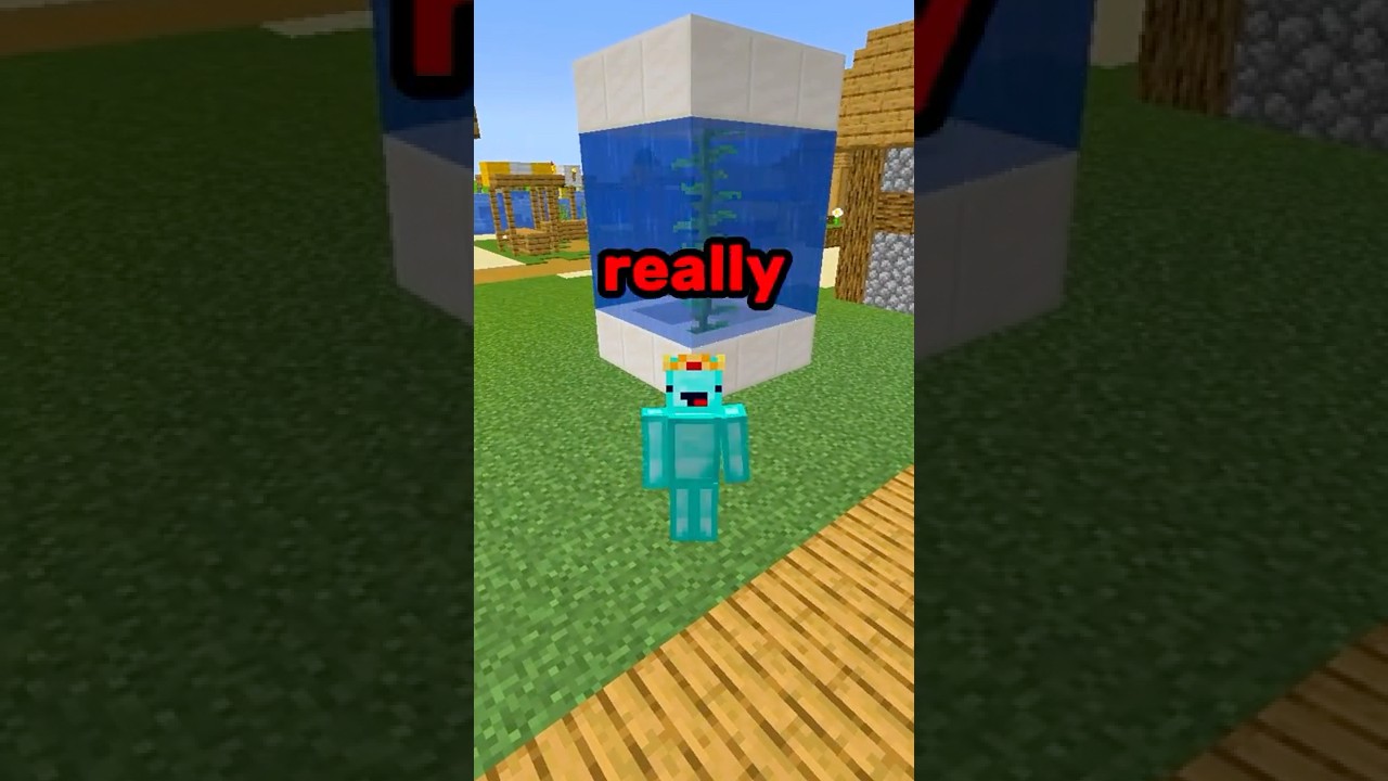 Minecraft Build Tricks?! ⛏💎