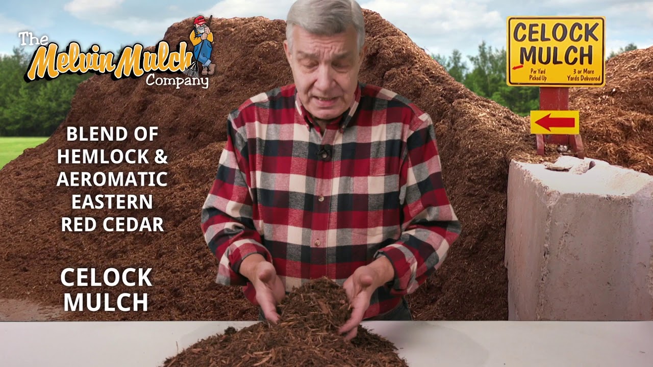 Melvin Mulch Celock