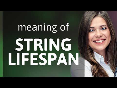 Understanding "String Lifespan" in English