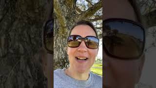 3 Best Pest Control Companies in Topeka, KS - Expert Recommendations