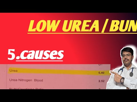 5 reasons OF low BLOOD UREA or BUN / video 209
