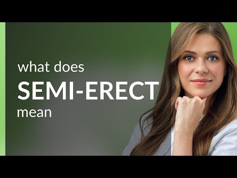 Semi-erect — meaning of SEMI-ERECT