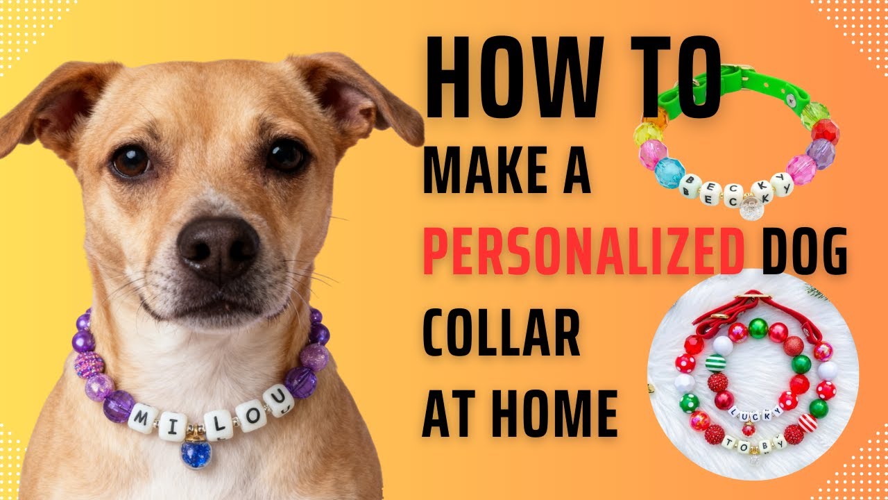 How to Make a Personalized Dog Collar at Home | Step-by-Step Guide  a Christmas gifts for dogs cats