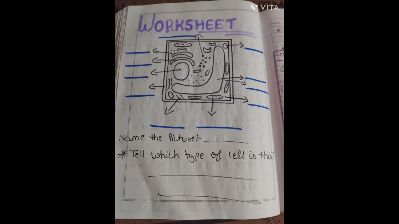 science lesson plan/cell structure and function/class 7