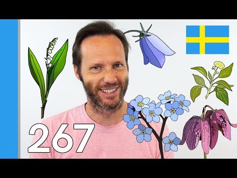 Learn Sweden's State flowers - 10 Swedish Words #267