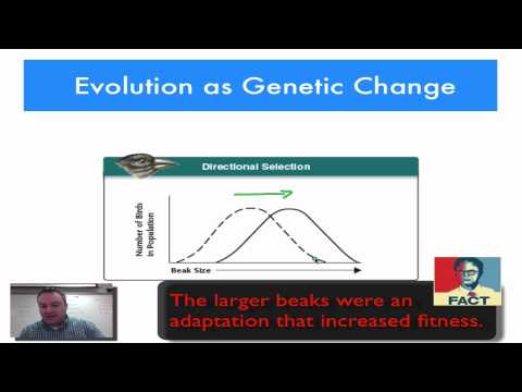 Chapter 17 Part 4 - Three Types of Selection