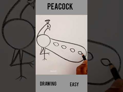 peacock drawing easy@Kids Drawing Talent