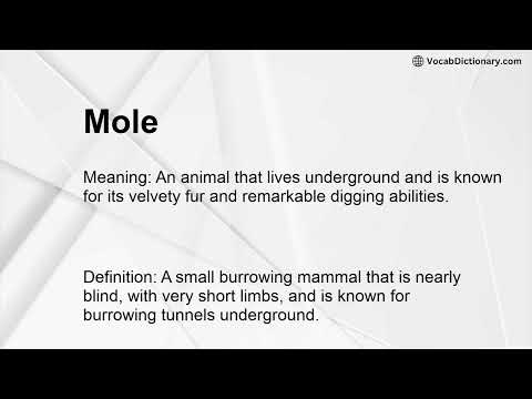 Mole Meaning