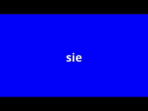 what is the meaning of sie.