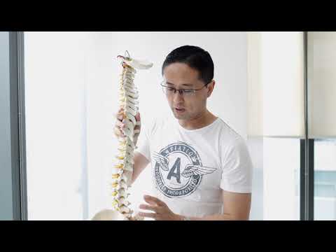 What's the difference between chiropractic care, massage and physical therapy?