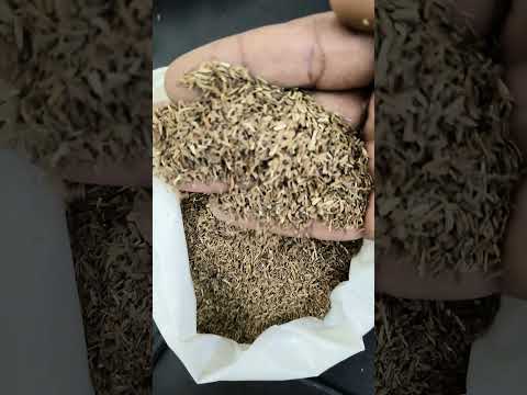 Cumin Seeds - Jeera Latest Price, Manufacturers & Suppliers