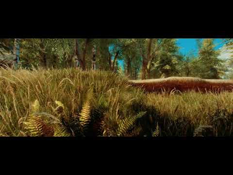 Steam Community :: Video :: Skyrim Special Edition Riften Forest