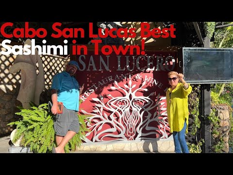 The Best Sashimi in town! San Lucero Restaurant & Wine Bar