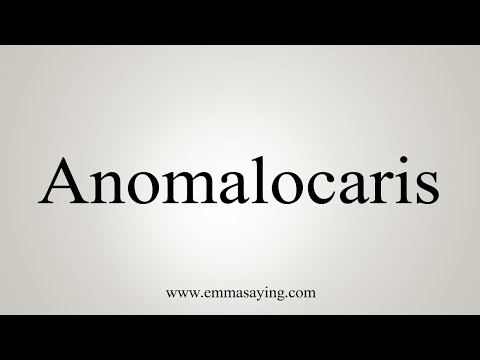 How To Say Anomalocaris