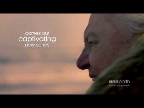 BBC Earth Free Preview Channel 278 Feb3-Apr5