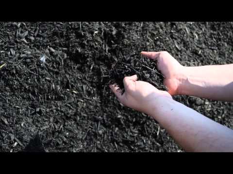 Black Dyed Mulch for Sale NJ & NY | Fast Delivery, Best Prices