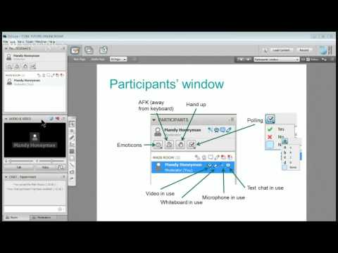 Introduction to OU Live (online tutorial environment - now depreciated) at the Open University