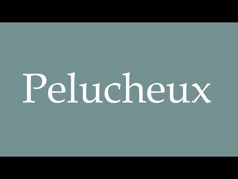 How to Pronounce ''Pelucheux'' (Plush) Correctly in French