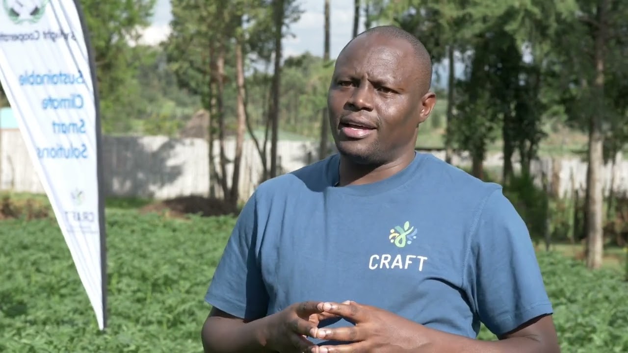 Promoting climate resilient potato production