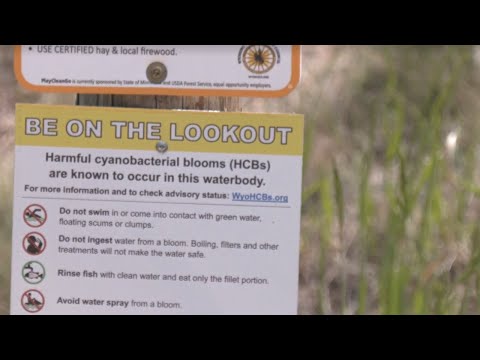 Harmful Algae Bloom Prompts Advisory for Lower North Crow Reservoir