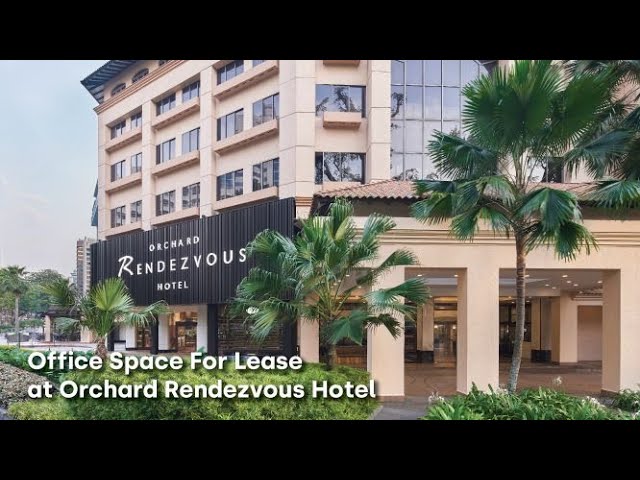 Office for Rent in Orchard Rendezvous Hotel - 269 sqft | 99.co