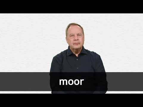 MOOR definition in American English | Collins English Dictionary