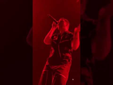 Shinedown