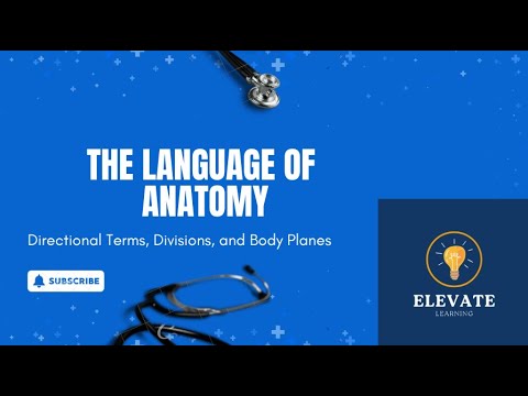 Master Anatomical Terms: Position, Directional Terms, Regions, and Planes | Anatomy Basics