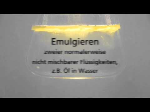 Elma Labor Applikationen