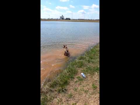 Norman Dog Park