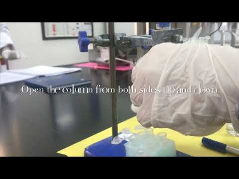 Ion Exchange Chromatography - Experimental Biochemistry