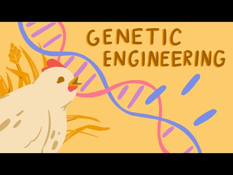 What is Genetic Engineering?