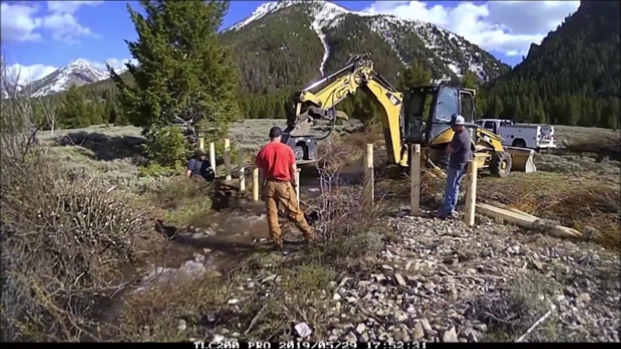 Man-Made Beaver Dam Construction For Habitat Restoration in Montana